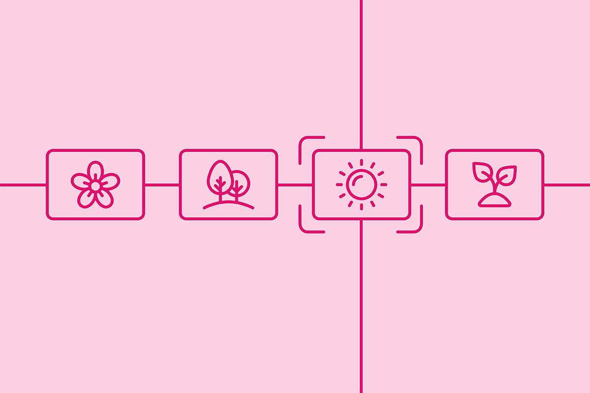 Using Image Recognition Software to Streamline Your DAM Workflows | Acquia